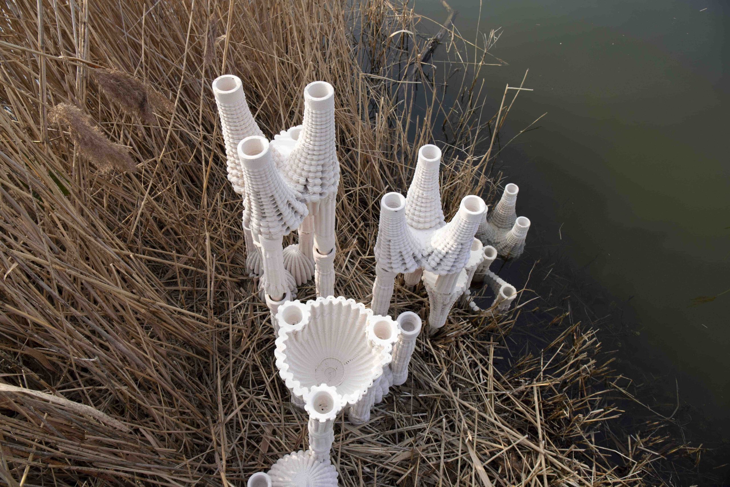 symbioticspaces researchproject - multispecies habitats for urban ...